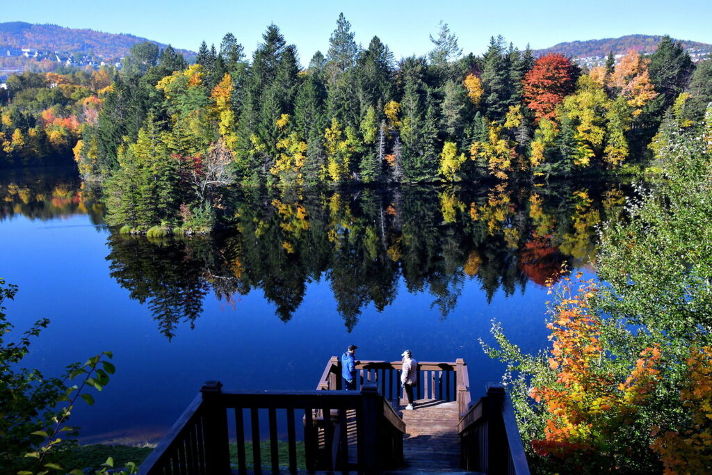 22 Best Places And Things To Do in Corner Brook, Canada – Places And ...