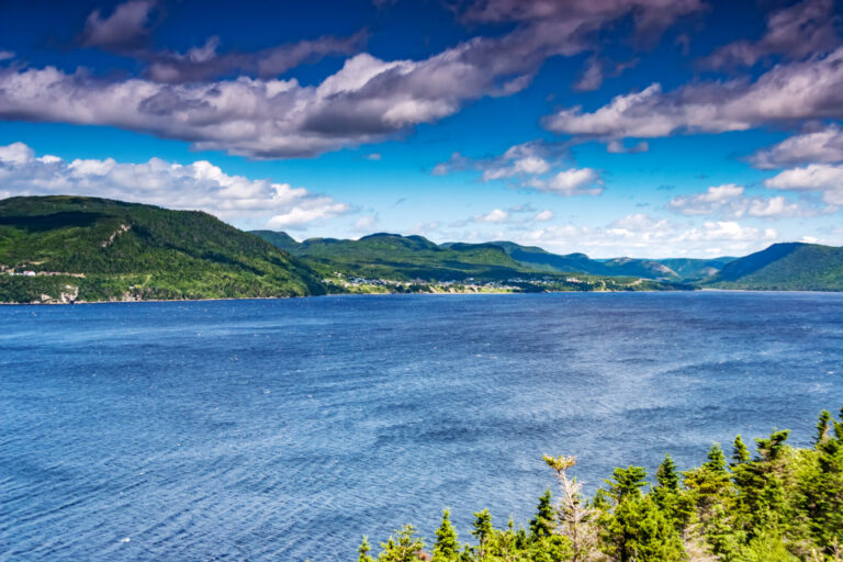 22 Best Places And Things To Do in Corner Brook, Canada – Places And ...