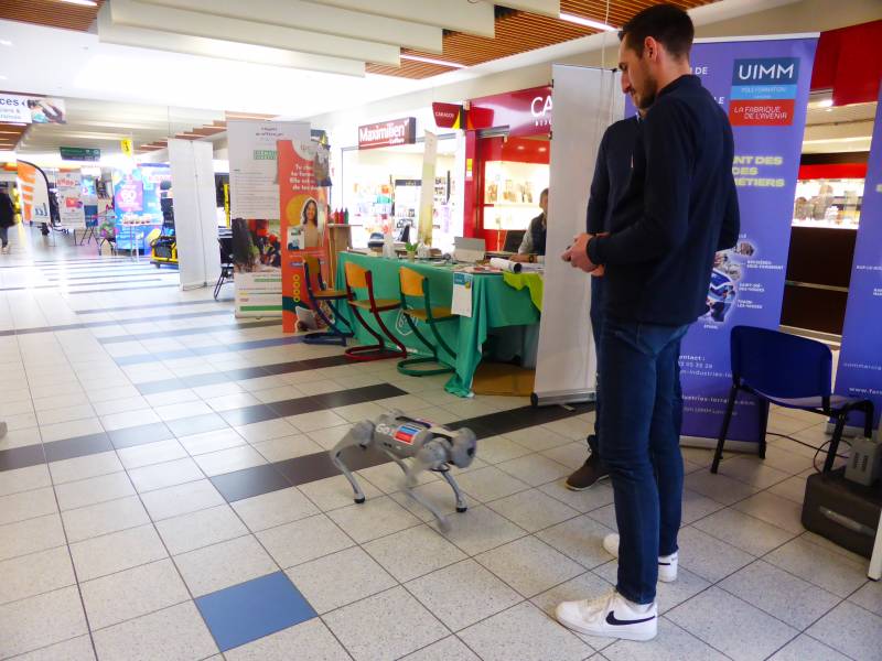 21 Best Places And Things To Do in Épinal, France – Places And Things To Do