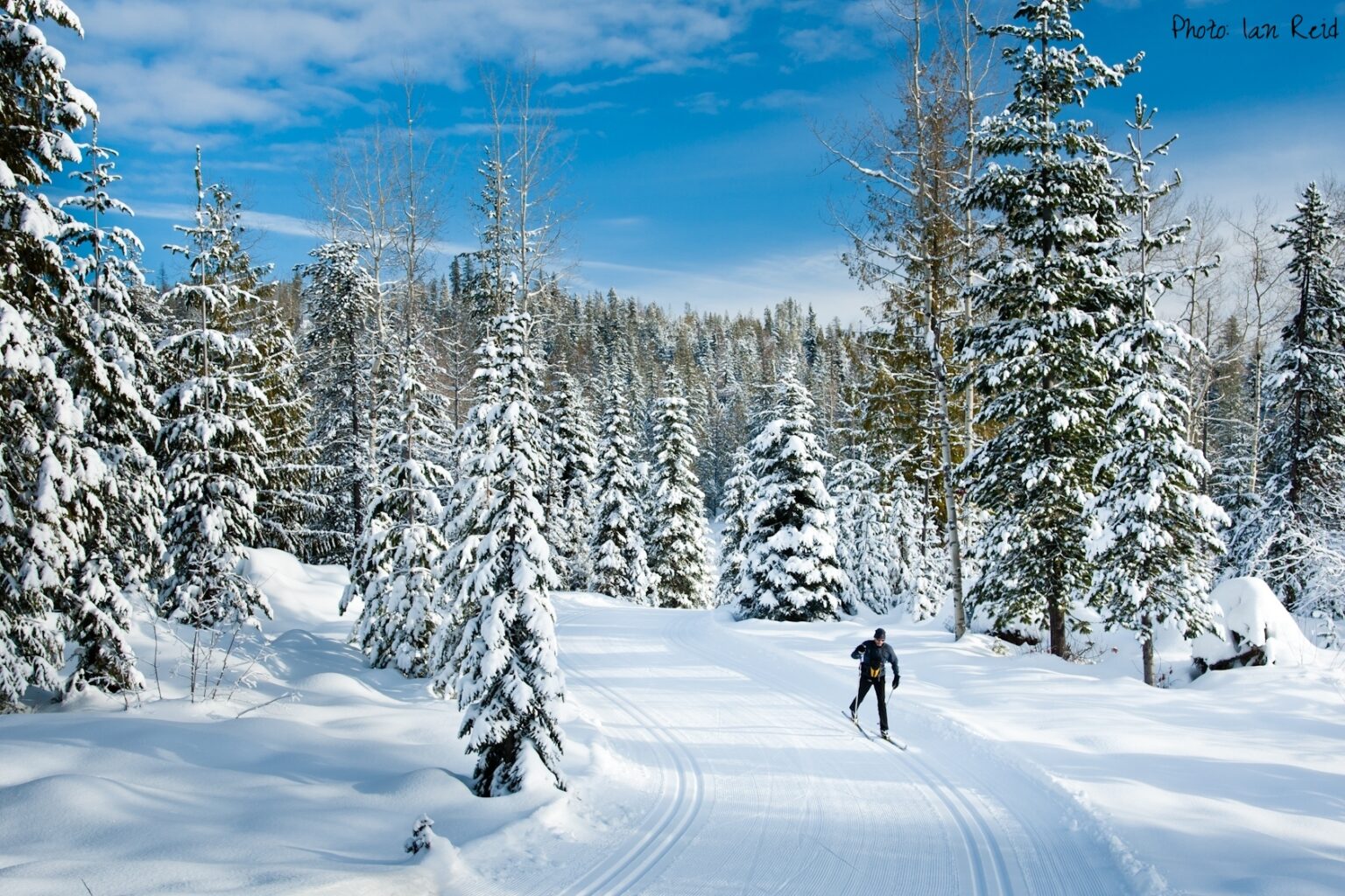 31 Best Places And Things To Do in Rossland, Canada – Places And Things ...