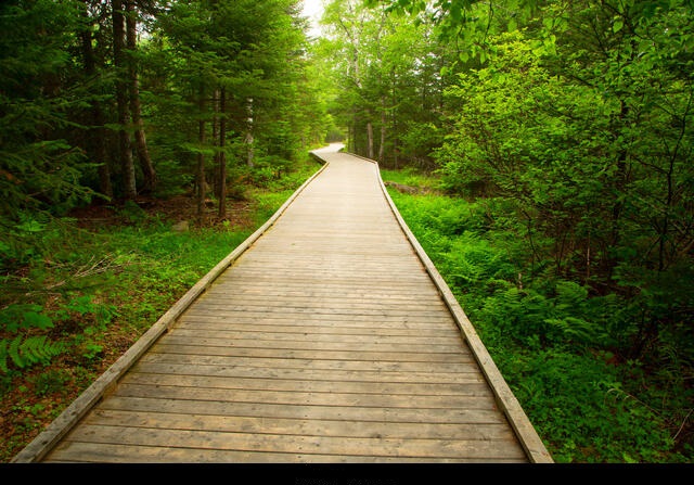 16 Best Places And Things To Do in Gander, Canada – Places And Things To Do