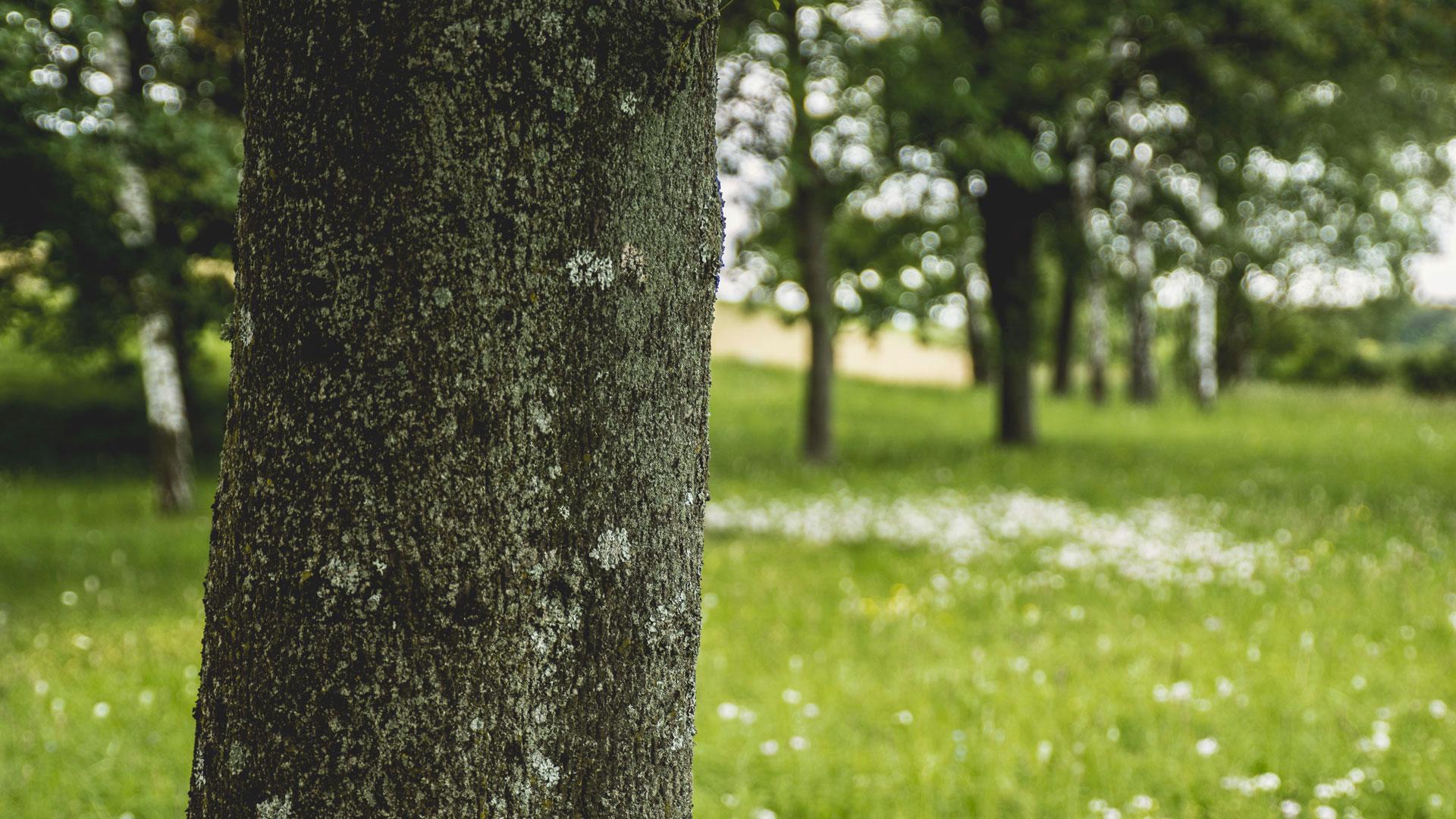 35 Best Places And Things To Do in Côte-Saint-Luc, Canada – Places And ...