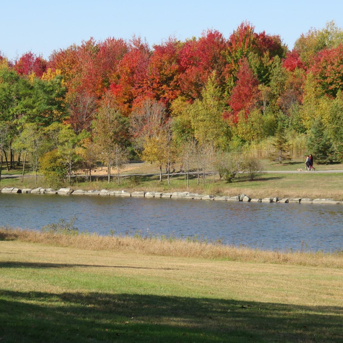 30 Best Places And Things To Do in Saint-Hubert, Canada – Places And ...